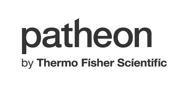 探索药品开发的五个阶段 - Patheon 制药服务